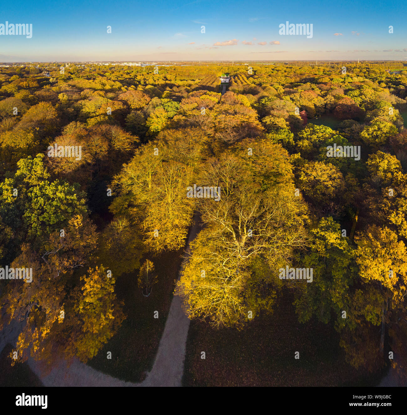 Aerial holland forest hi-res stock photography and images - Alamy