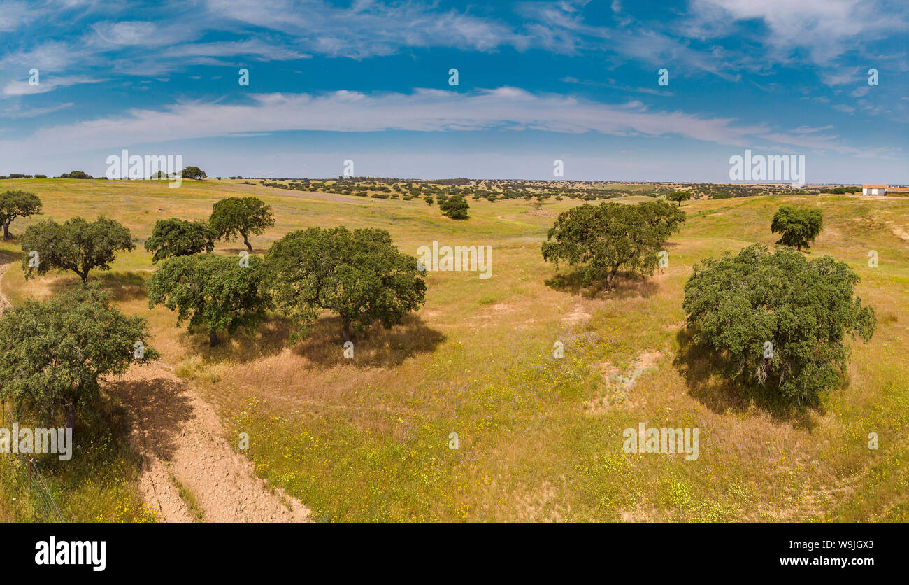Baixo alentejo hi-res stock photography and images - Alamy