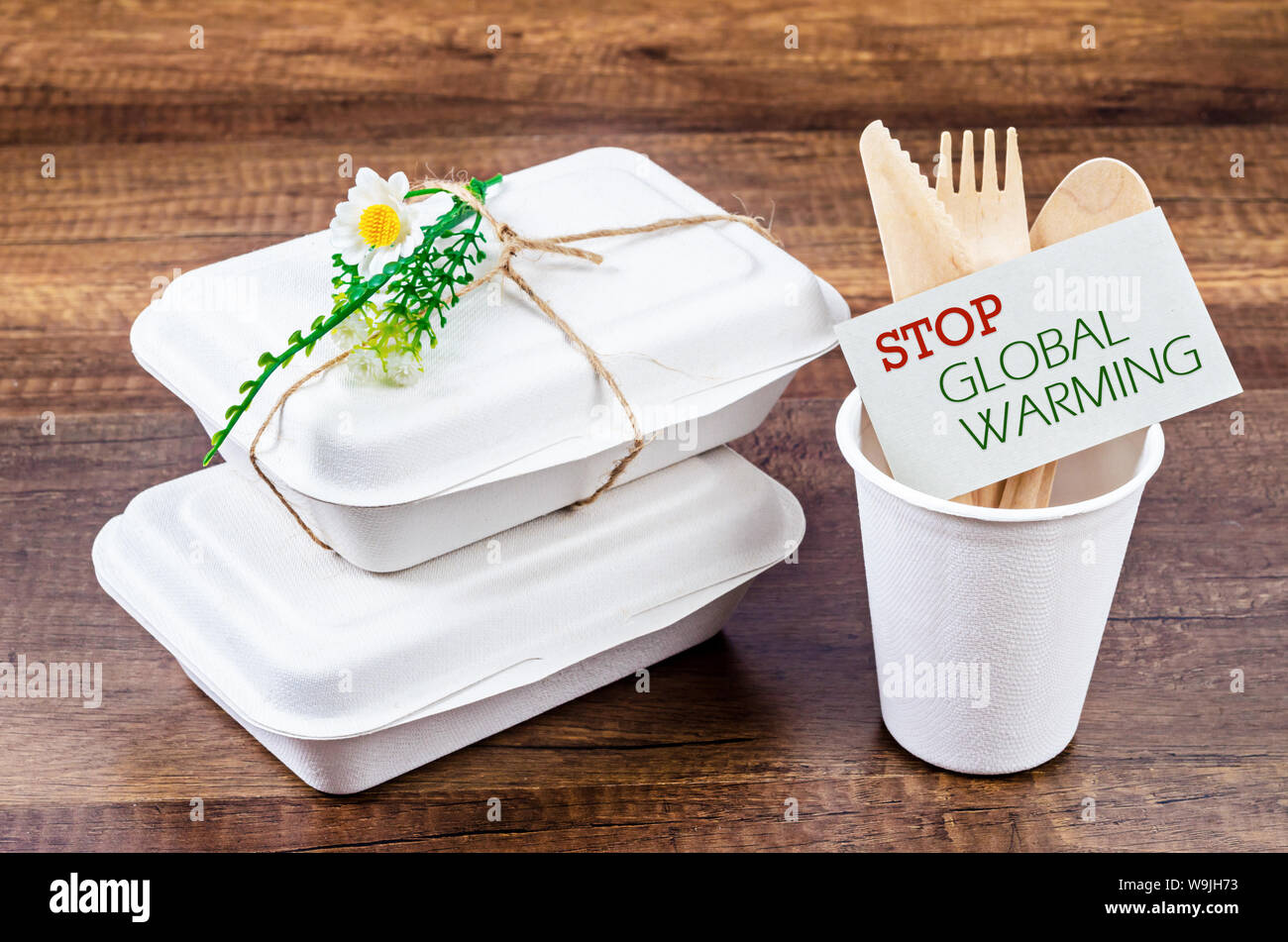 Biodegradable food box with Stop Global Warming tag. Eco friendly ...
