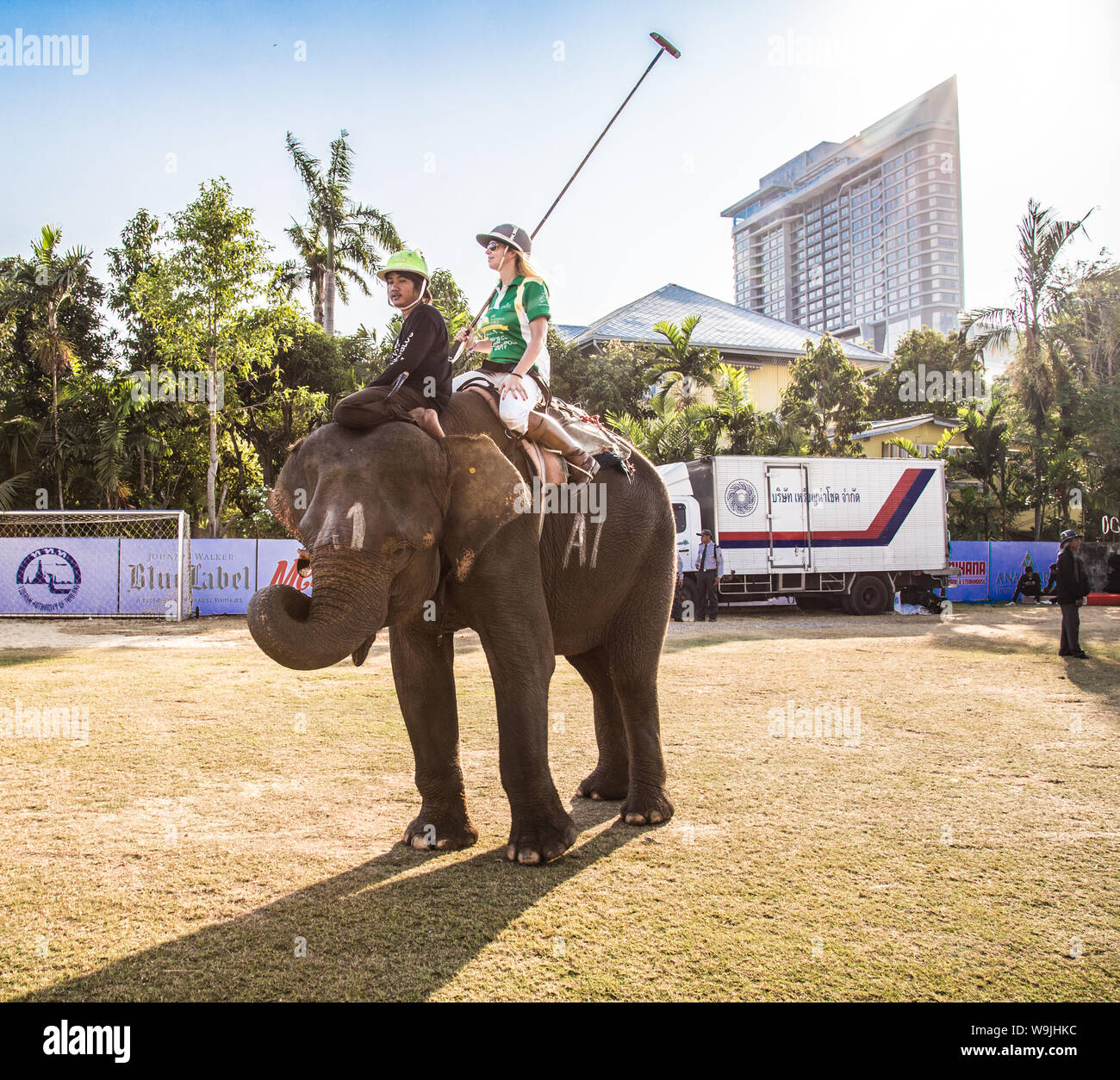 Elephant polo in jaipur hi-res stock photography and images - Alamy