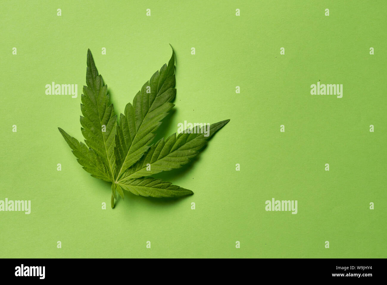 Marijuana leaf background hi-res stock photography and images - Alamy