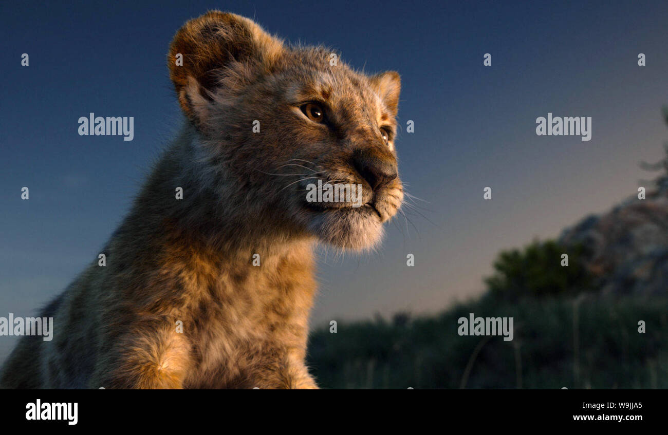 The lion king 2019 still hi-res stock photography and images - Alamy