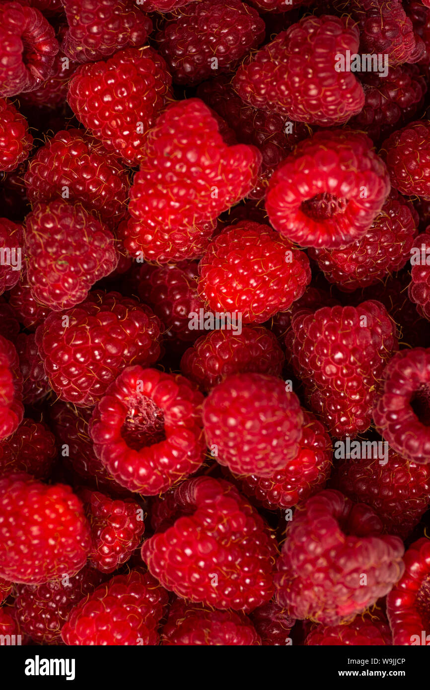 Close up shot bunch ripe hi-res stock photography and images - Alamy