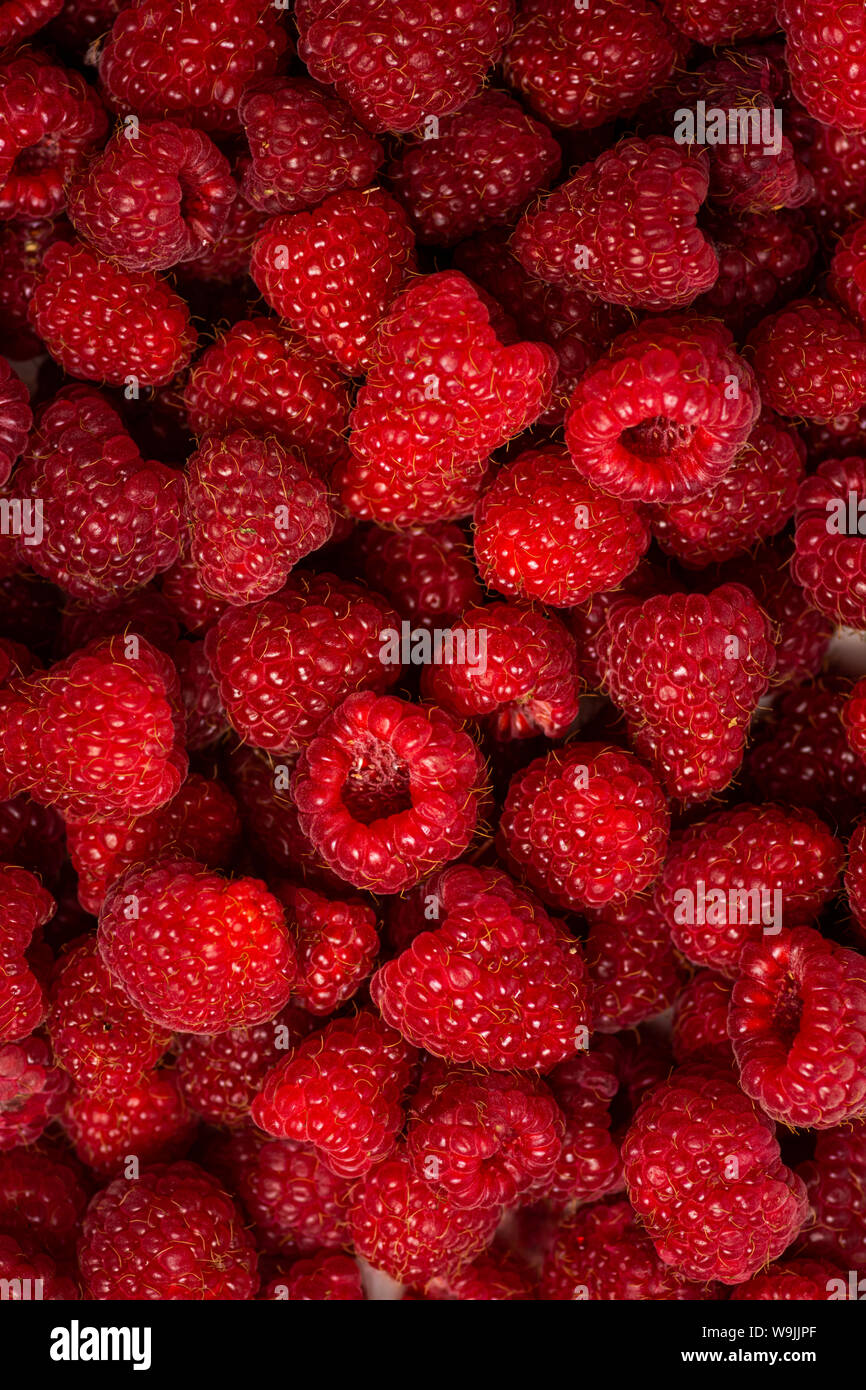 Macro shot of a bunch of fresh raspberries Stock Photo - Alamy