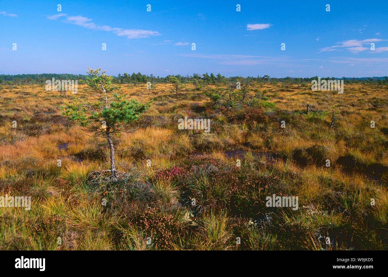 Store mosse national hi-res stock photography and images - Alamy