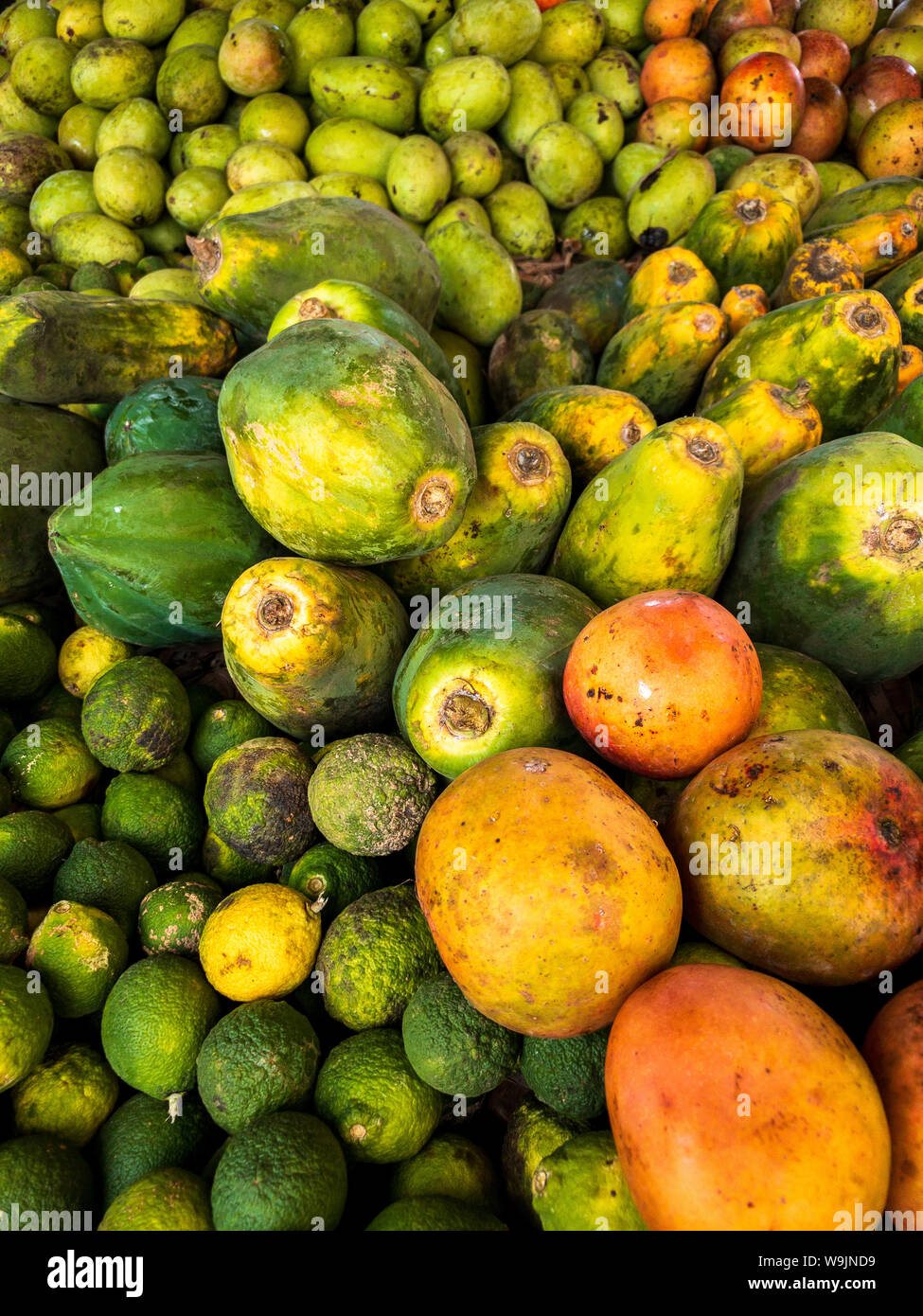Colourful papaya furits on a market Stock Photo - Alamy