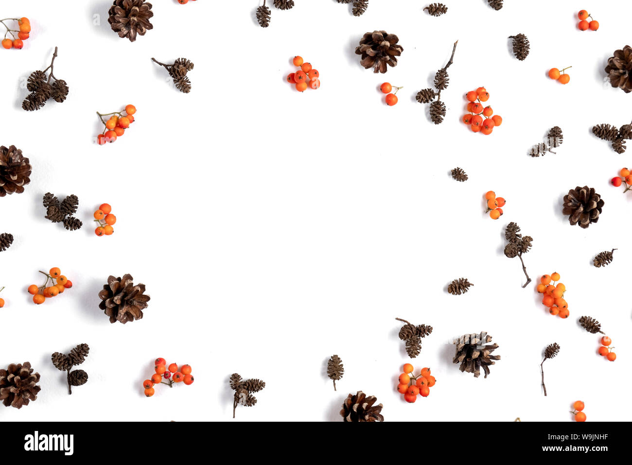 Autumn creative composition. Pattern made of berry rowan, cones on ...