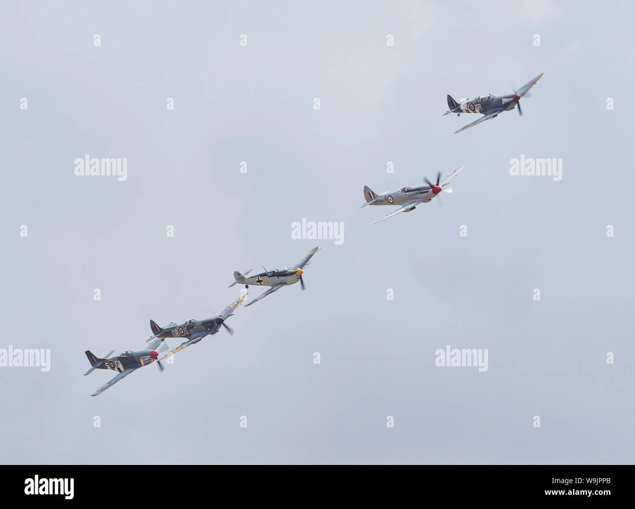 American spitfire hi-res stock photography and images - Alamy