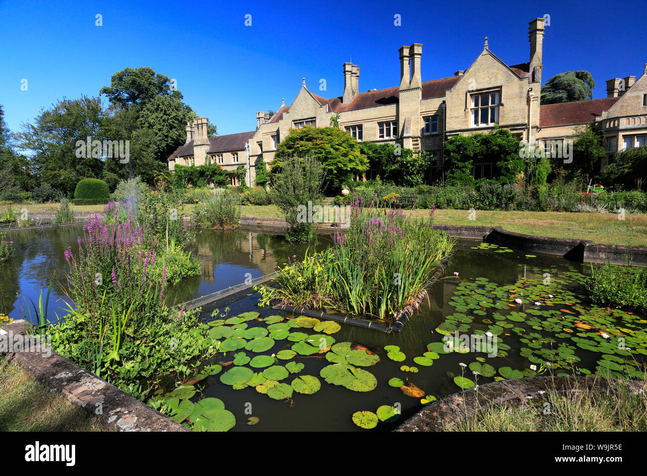 The RSPB Lodge nature reserve, Sandy Heath, Sandy town, Bedfordshire ...
