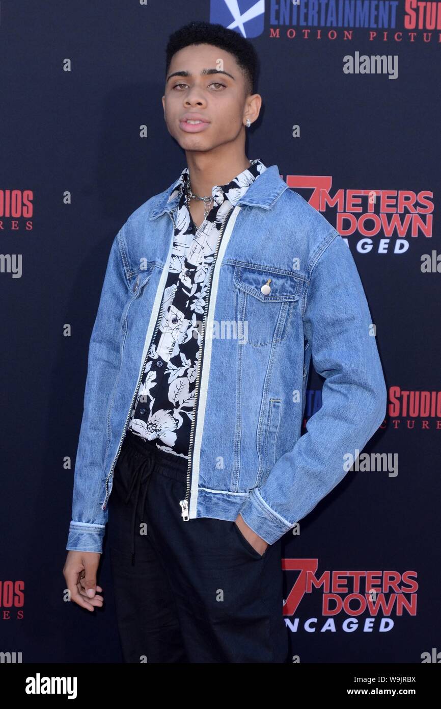Los Angeles, CA. 13th Aug, 2019. Bryce Xavier at arrivals for 47 METERS ...
