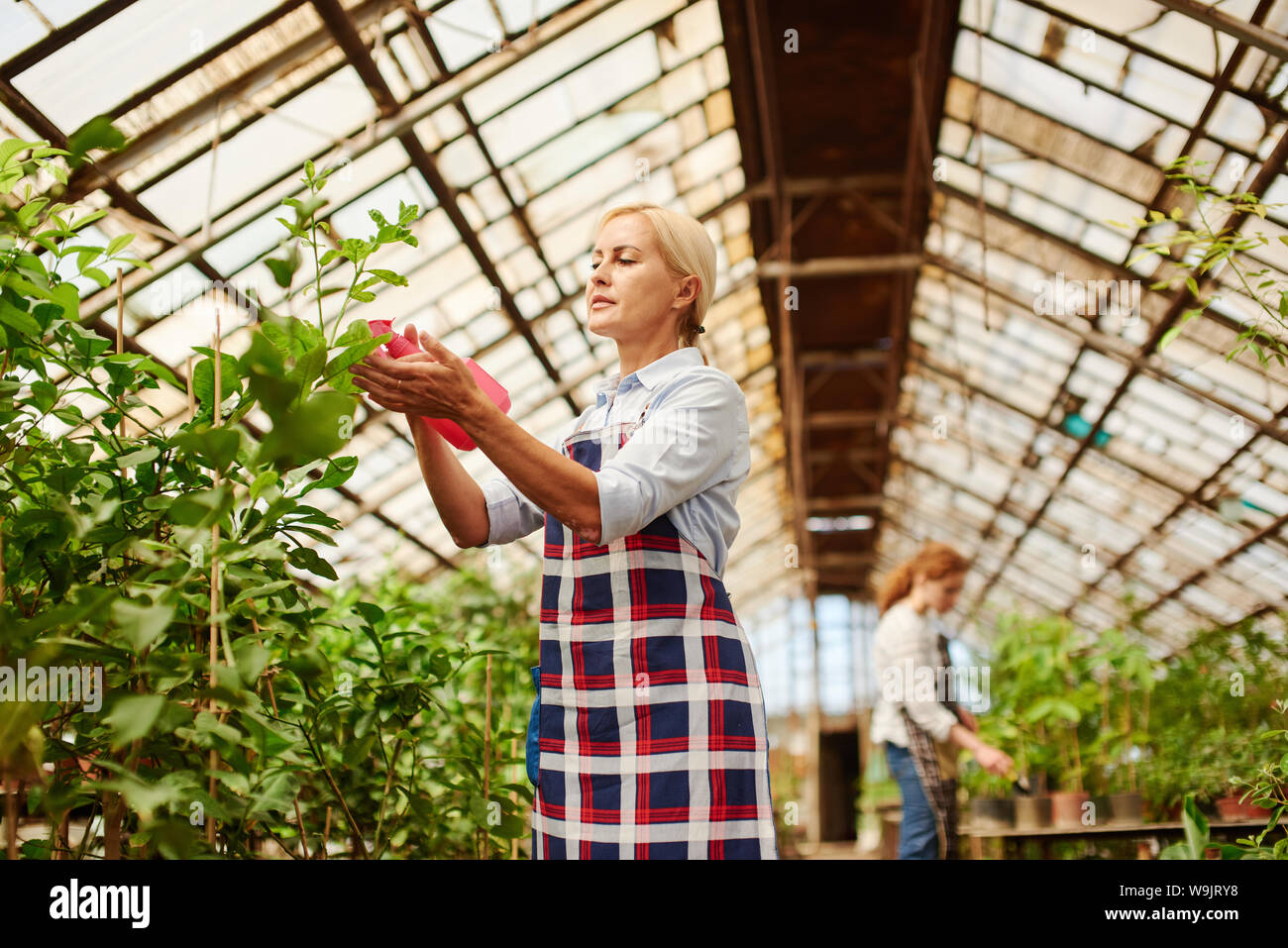Gardeners work hi-res stock photography and images - Alamy