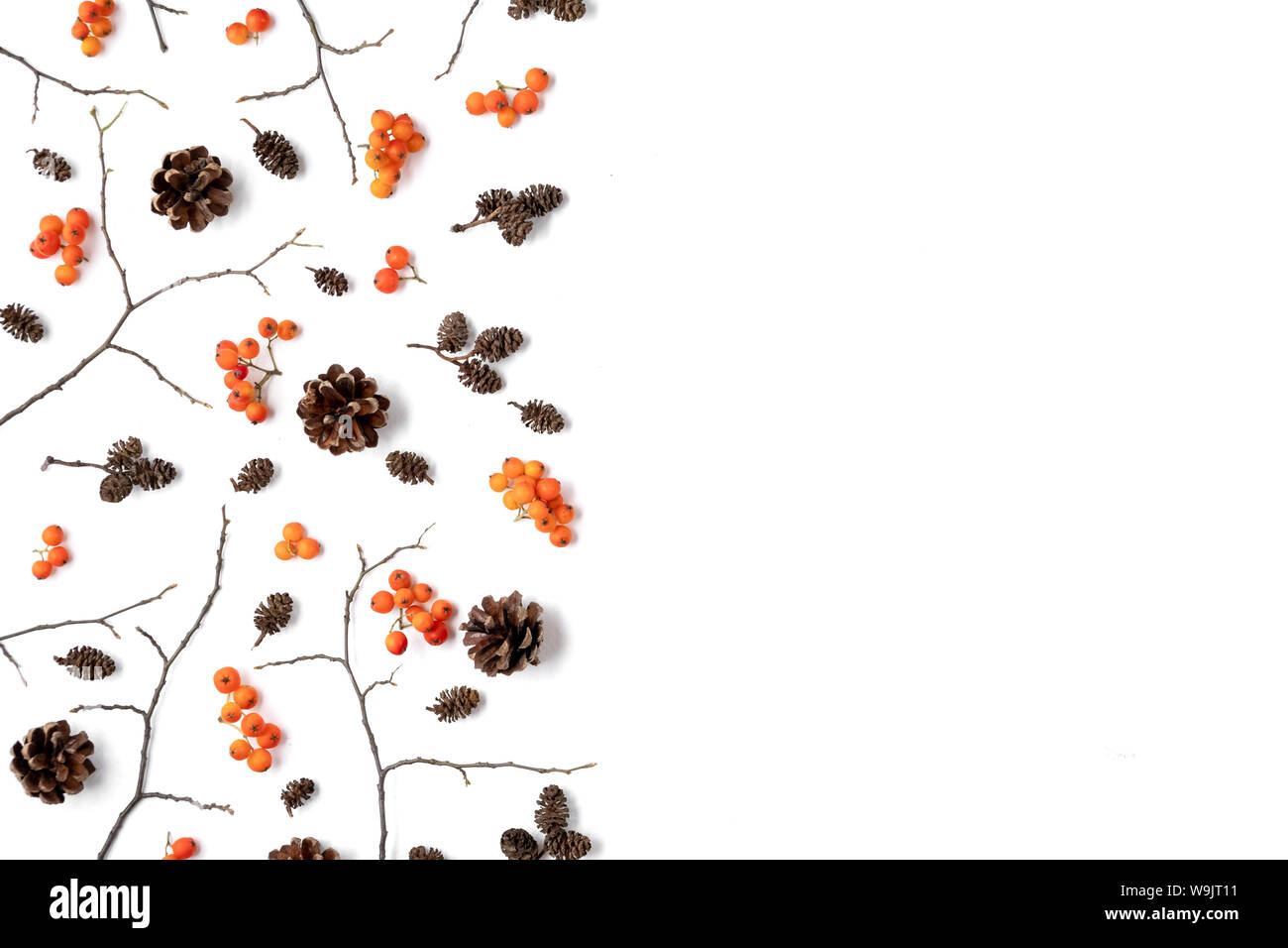 Autumn creative composition. Pattern made of berry rowan, cones on ...