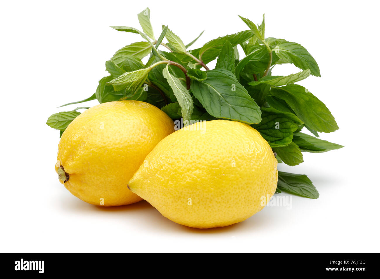 Fresh lemon with mint leaves isolated on white background Stock Photo ...
