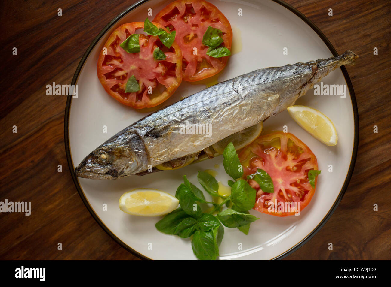 Scomber scombrus uk hi-res stock photography and images - Alamy