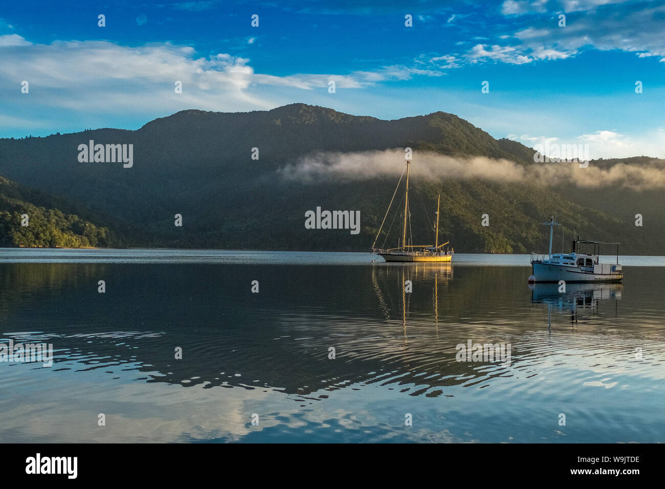 Anchor island new zealand hi-res stock photography and images - Alamy