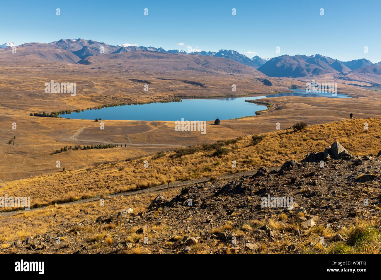 Mackenzie basin hi-res stock photography and images - Alamy