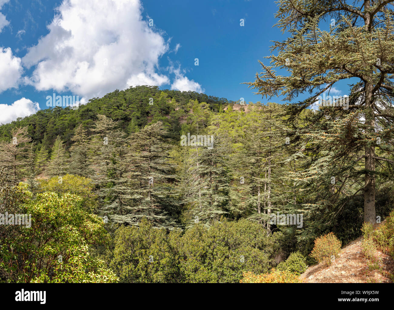 Cyprus lebanon hi-res stock photography and images - Alamy