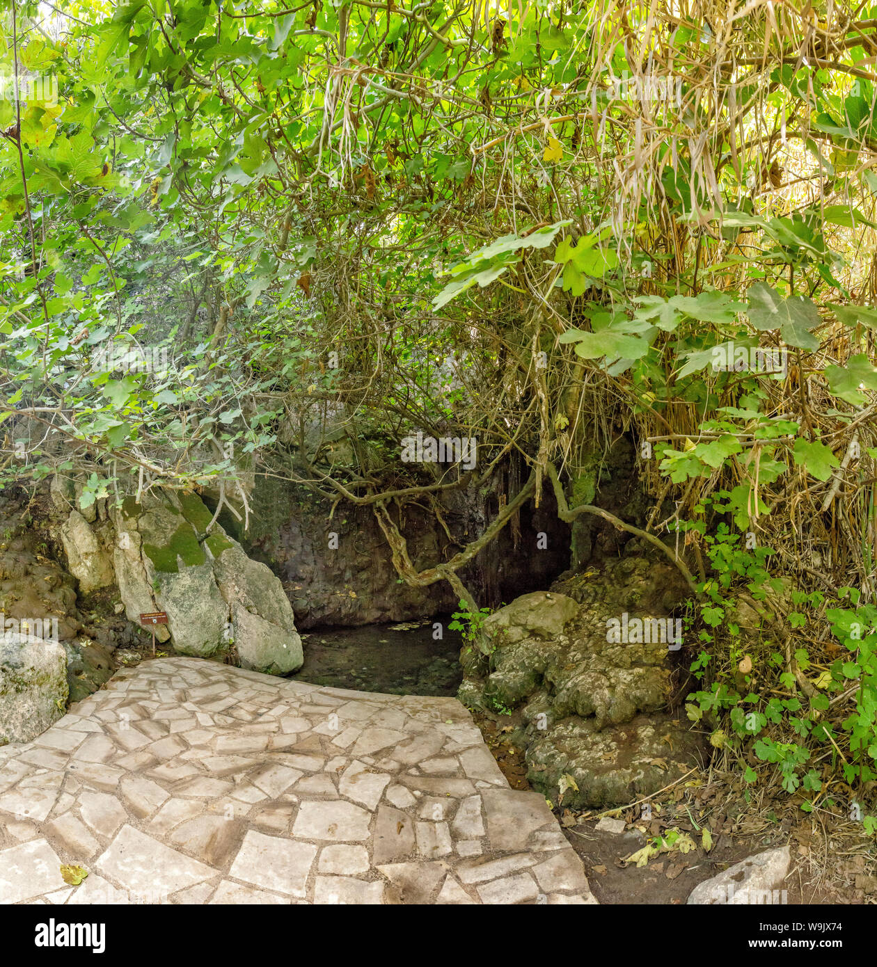Venus Bath, grotto with a wheeping rock, Neo Chorio, Cyprus, Cyprus ...