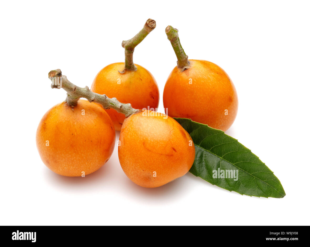 Heap of ripe loquat fruits with leaf isolated on white background Stock ...