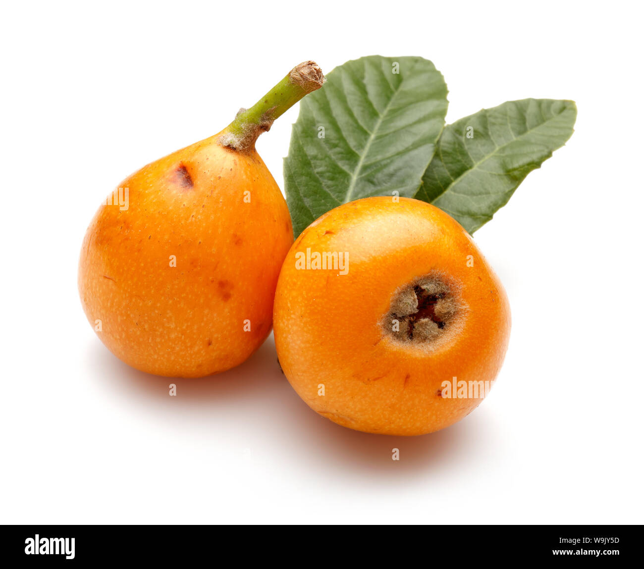Heap of ripe loquat fruits with leaf isolated on white background Stock ...