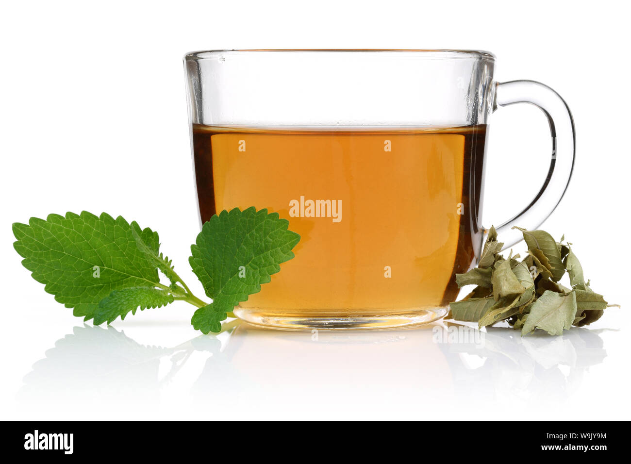 Melissa tea in a glass cup with lemon balm leaves isolated on white ...