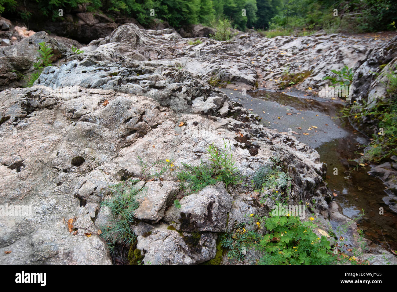 Summer landscape with mountain river, rocks and green forest Stock ...