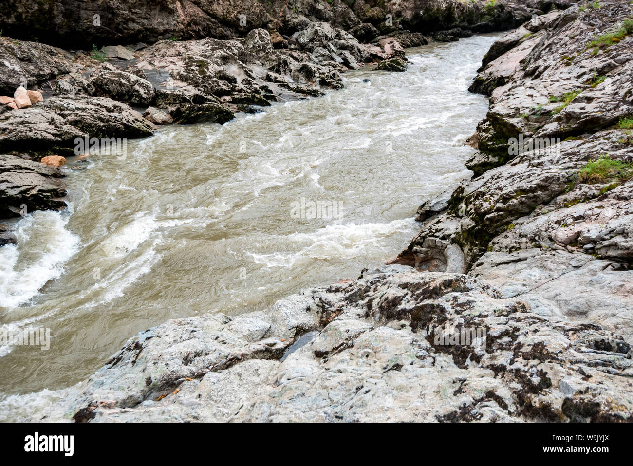 Summer landscape with mountain river, rocks and green forest Stock ...