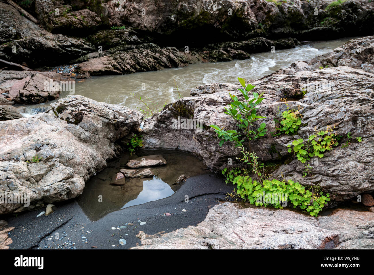 Summer landscape with mountain river, rocks and green forest Stock ...