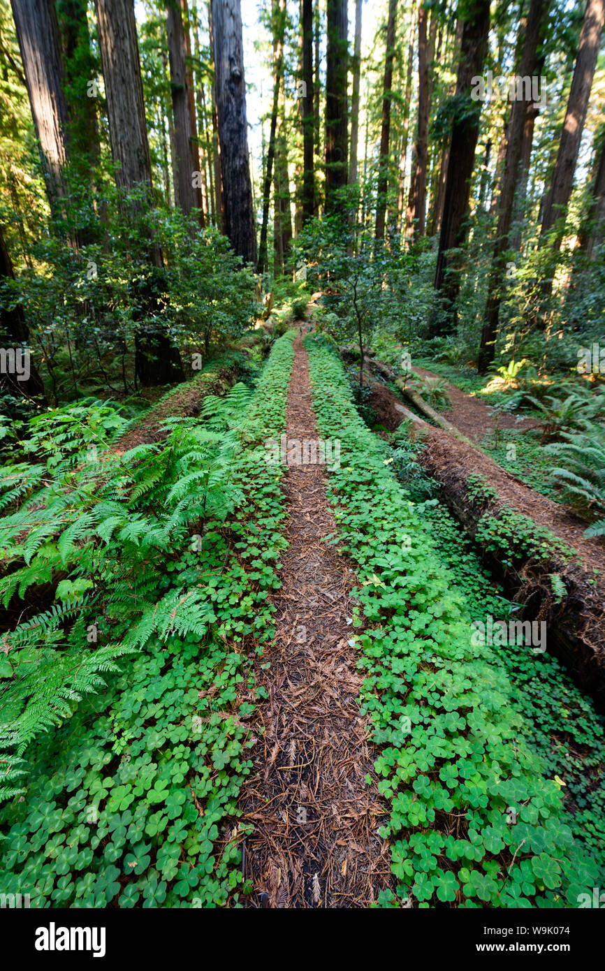 Star Wars Location High Resolution Stock Photography and Images - Alamy