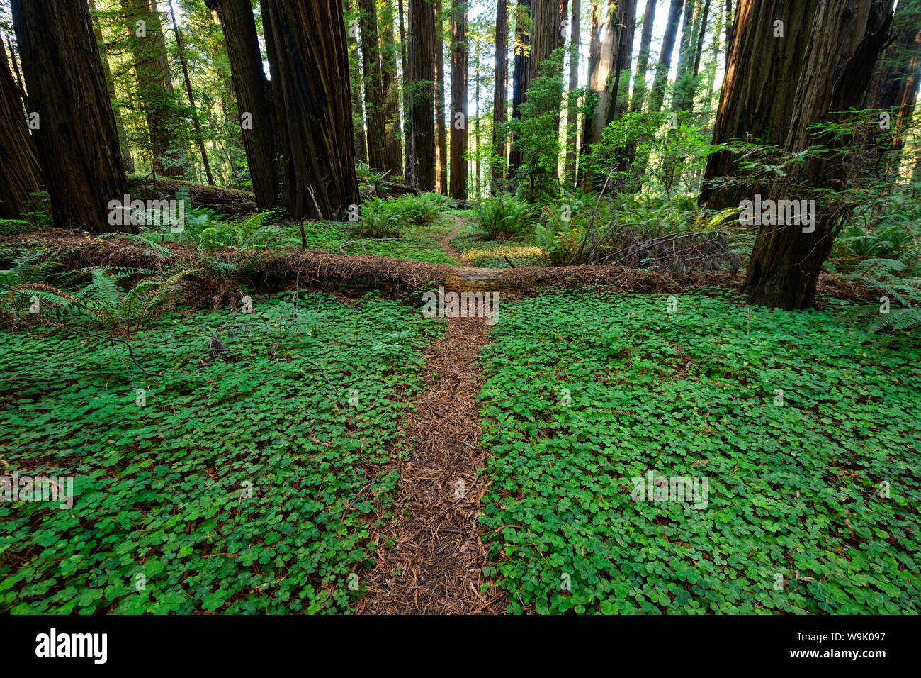 Star Wars Location High Resolution Stock Photography and Images - Alamy