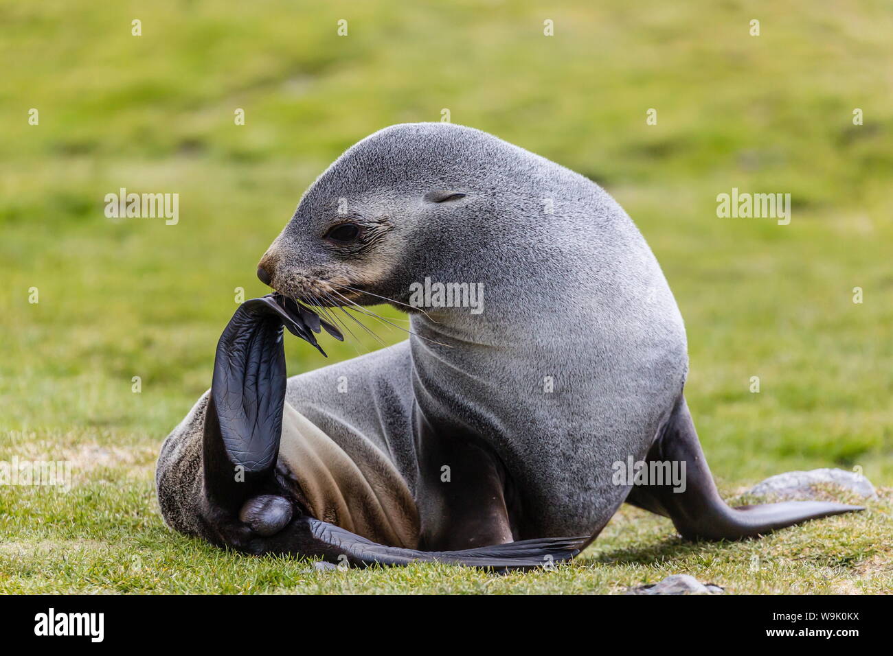 Colour reproduction hi-res stock photography and images - Alamy