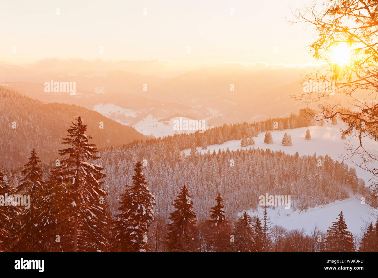 Winter landscape at sunrise, Belchen Mountain, Black Forest, Baden ...