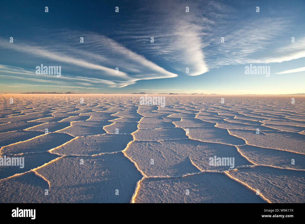 A seemingly endless landscape of pure salt stretches far across Bolivia ...