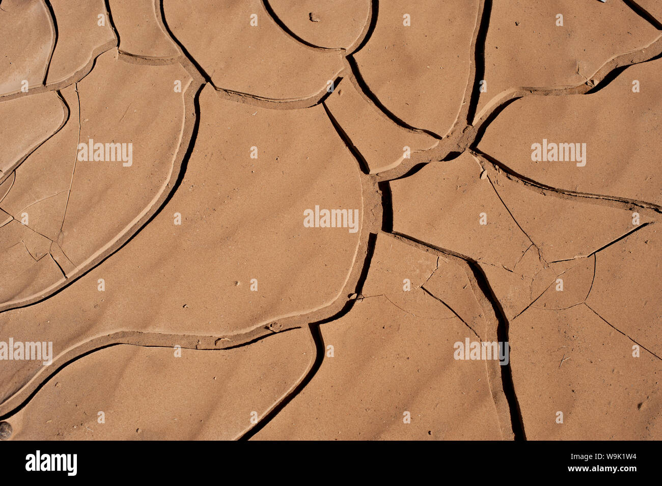 Dried and cracked mud in the desert in Morocco, North Africa, Africa ...