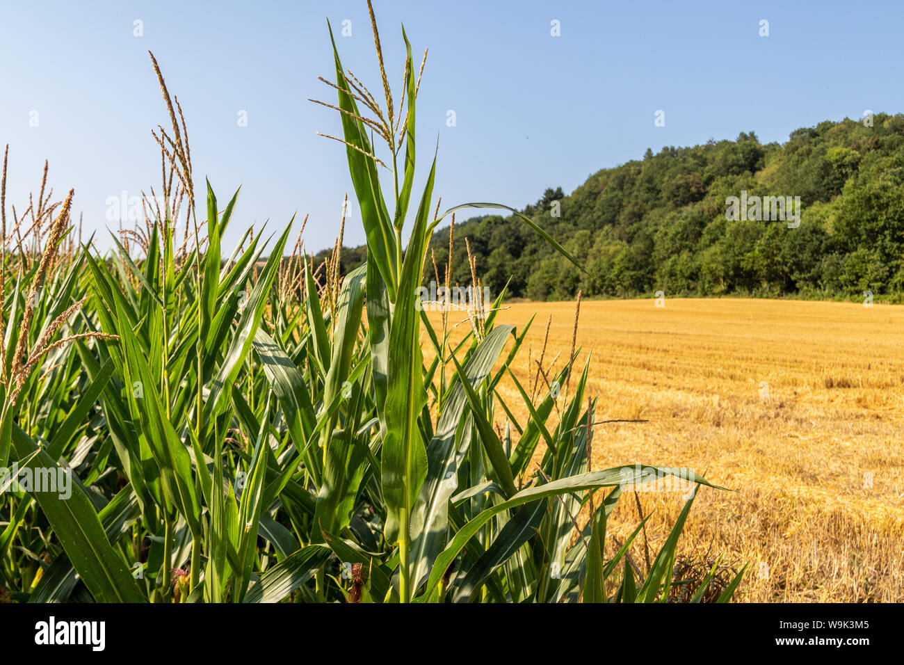 Desiccated agricultural land hi-res stock photography and images - Alamy