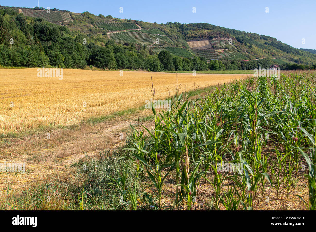 Desiccated agricultural land hi-res stock photography and images - Alamy