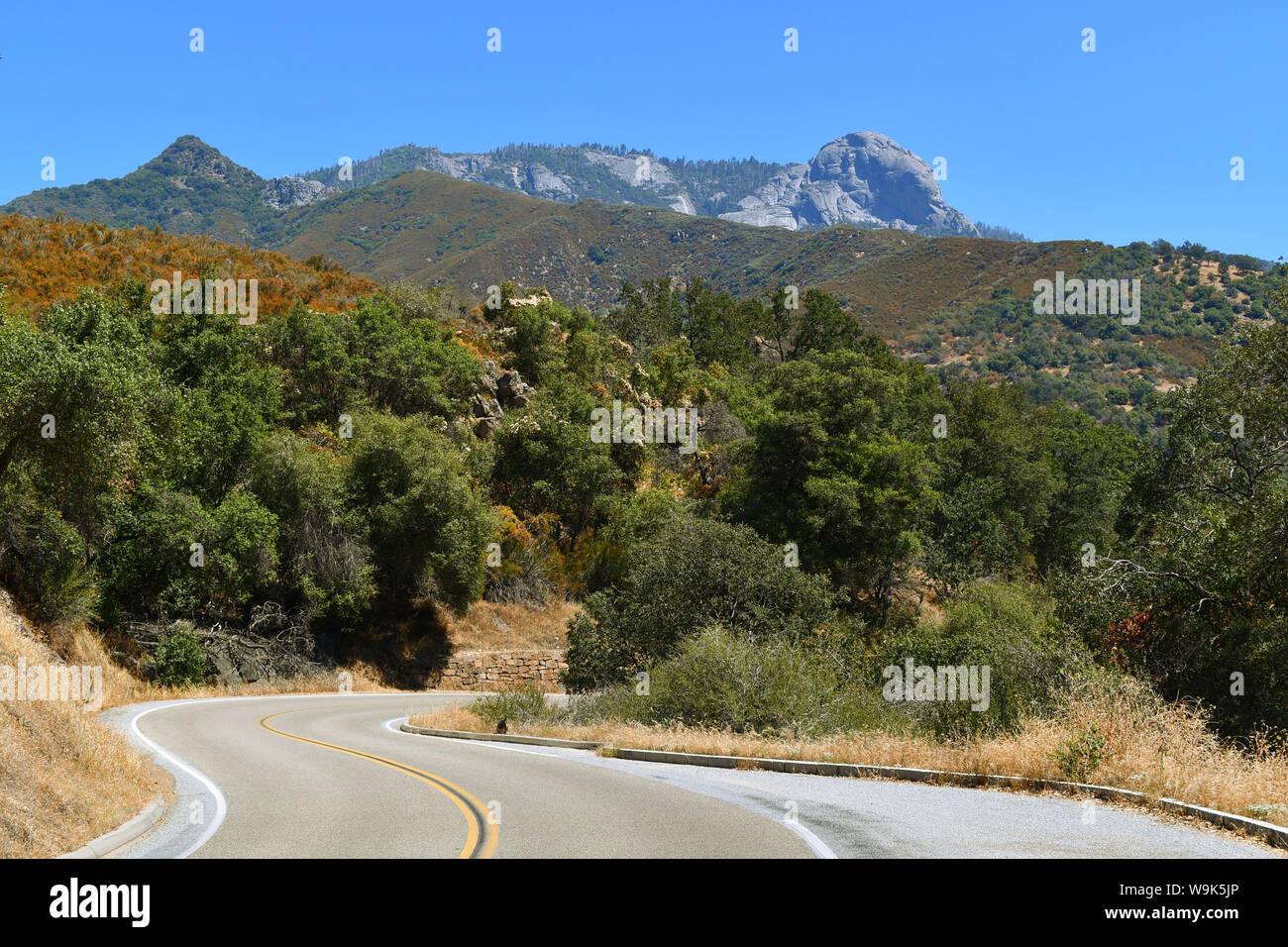 Morro rock, sequoia national park hi-res stock photography and images ...