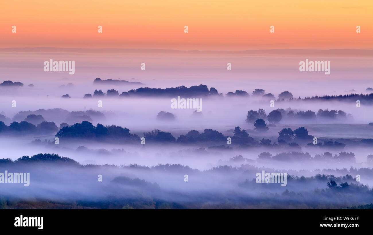Layers of mist surround the trees of Delamere Forest on a cold autumn ...
