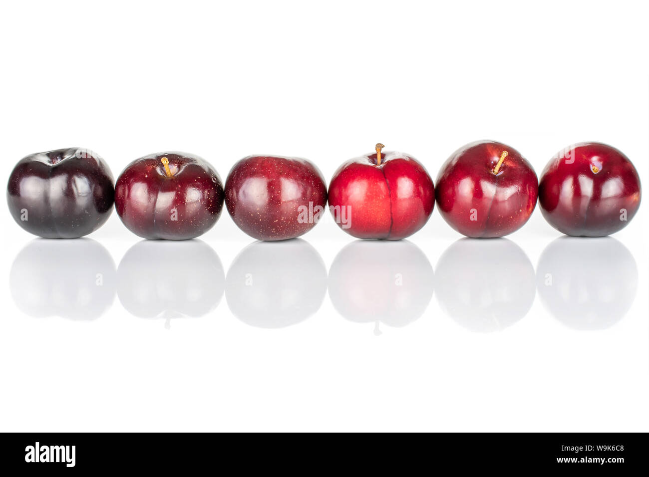 Group of six whole ripe red round plum in row isolated on white ...