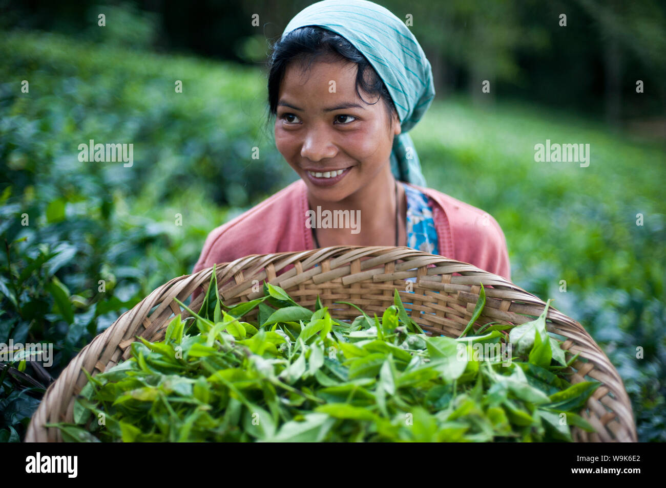 Meghalaya girl hi-res stock photography and images - Alamy