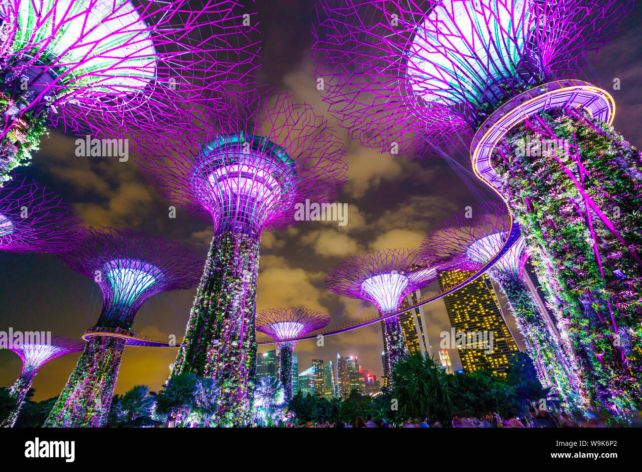 Supertree Grove in the Gardens by the Bay, a futuristic botanical ...