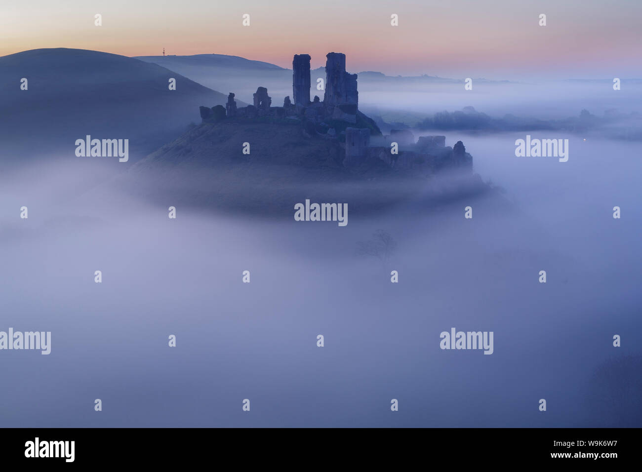 The ruins of Corfe Castle emerging from the mist before dawn on a ...
