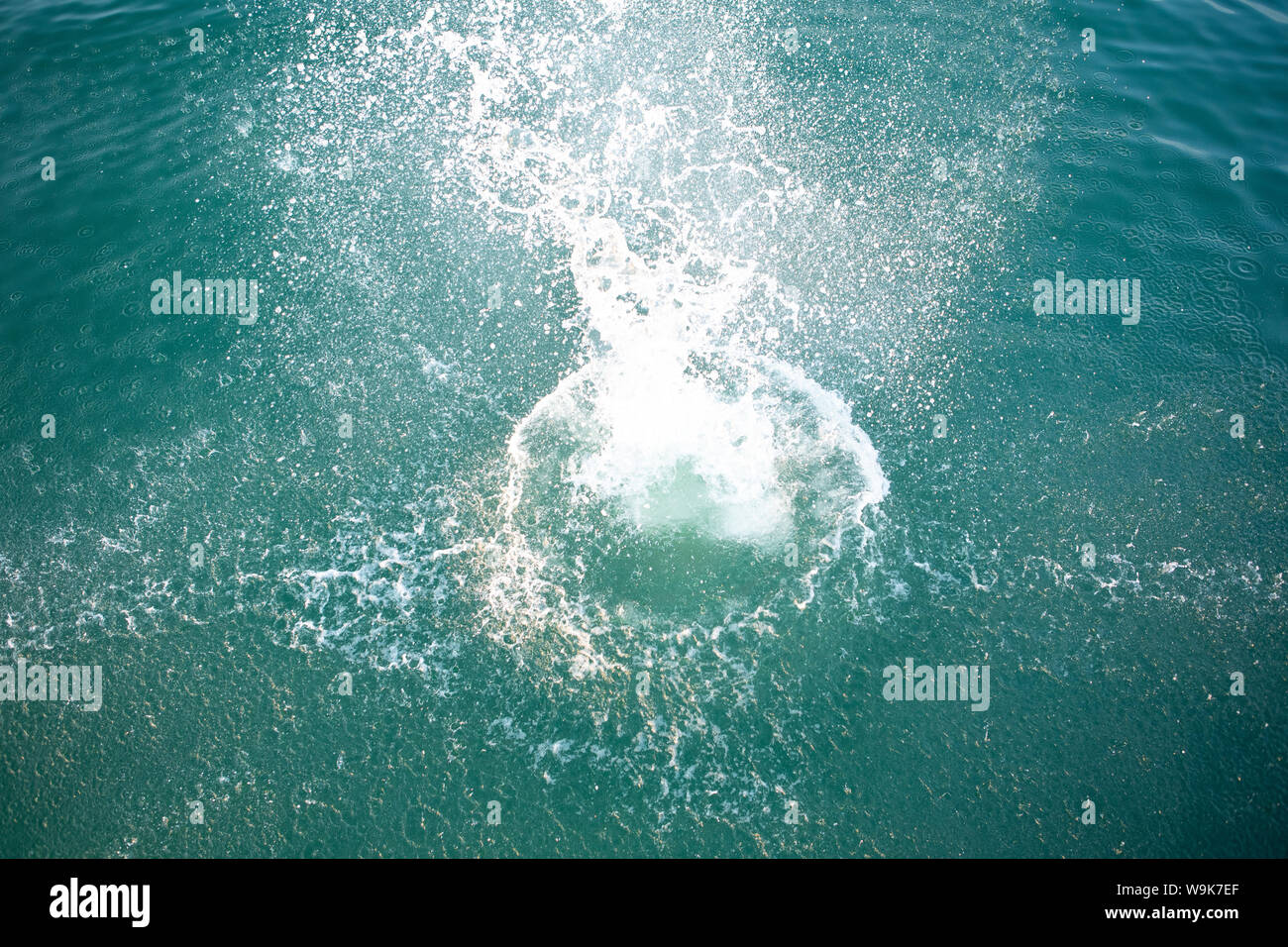 big white splash in lake water view from above Stock Photo - Alamy