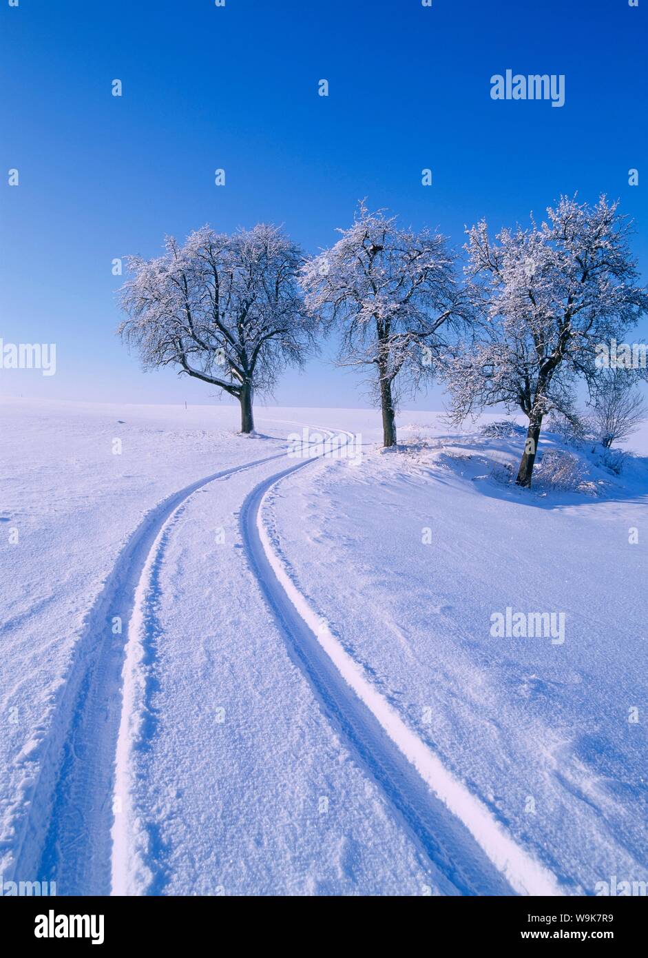 Winter natural phenomena hi-res stock photography and images - Alamy