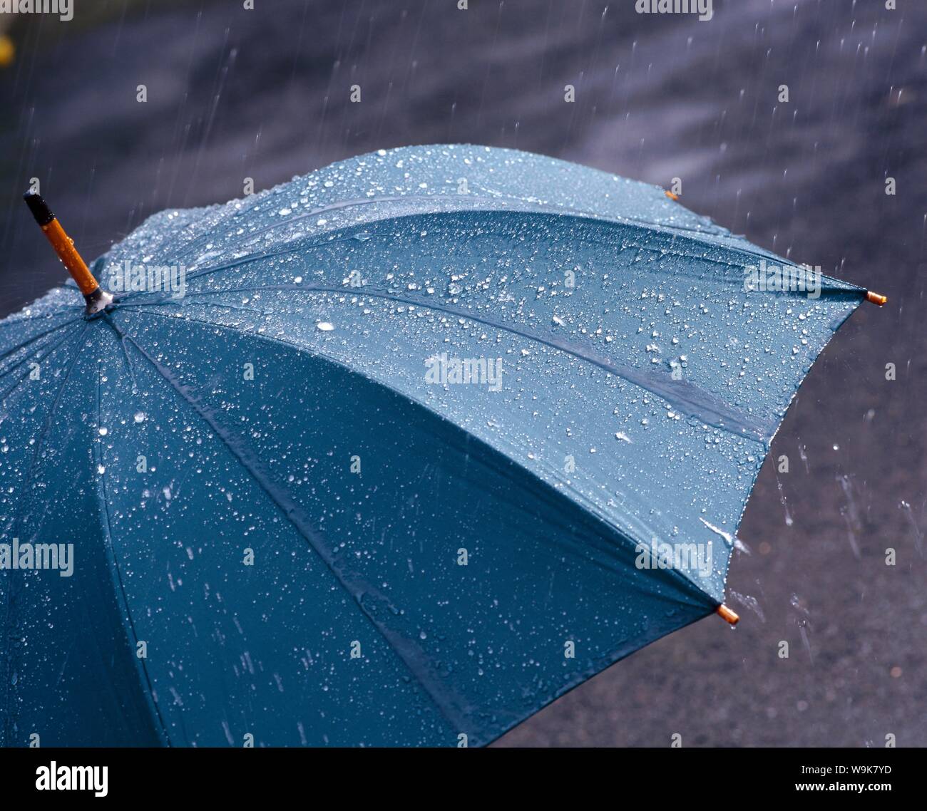 Rain Falling On Umbrella