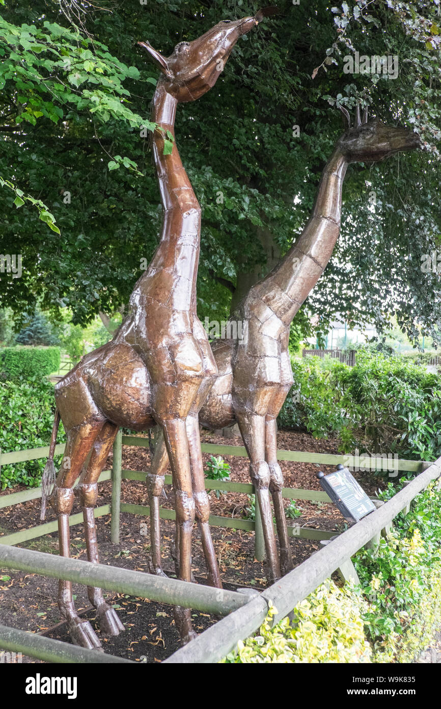 Giraffes world war hi-res stock photography and images - Alamy