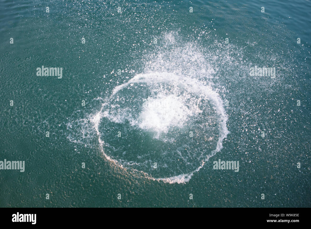 big white splash in lake water view from above Stock Photo - Alamy