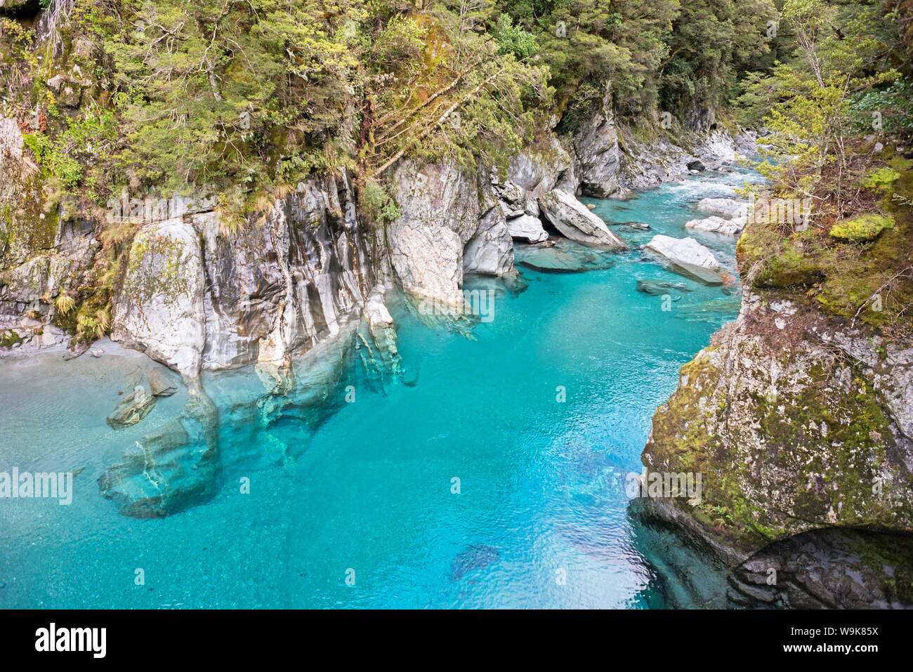 The Blue Pools of Haast Pass, Mount Aspiring National Park, UNESCO ...