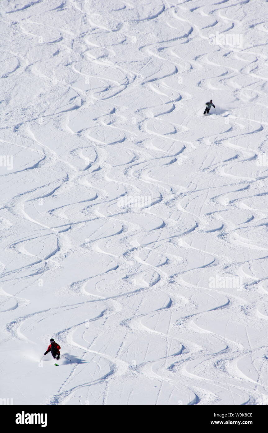 Skiers making early tracks after fresh snow fall at Alta Ski Resort ...