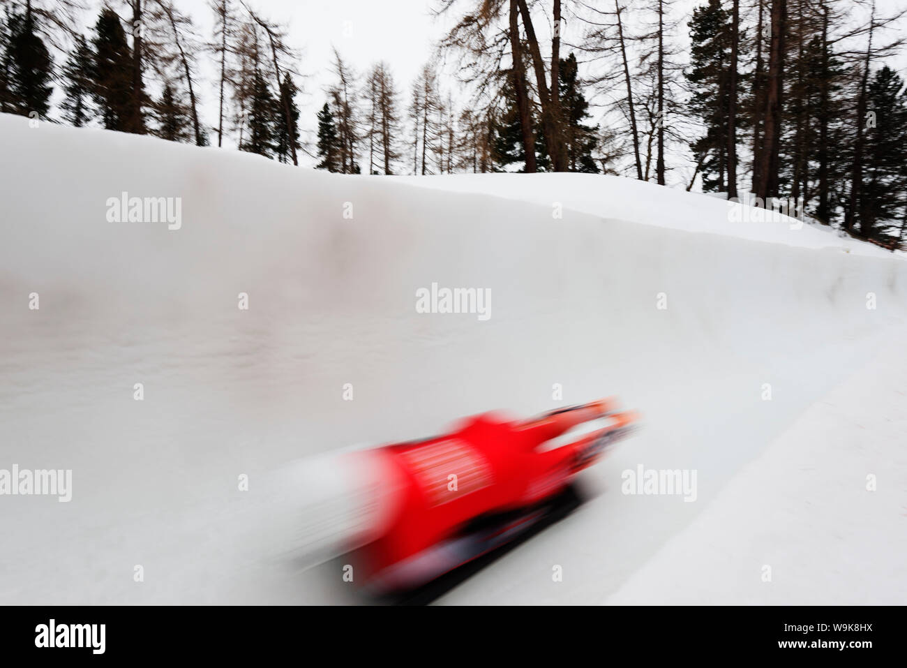 Celerina olympia hi-res stock photography and images - Alamy